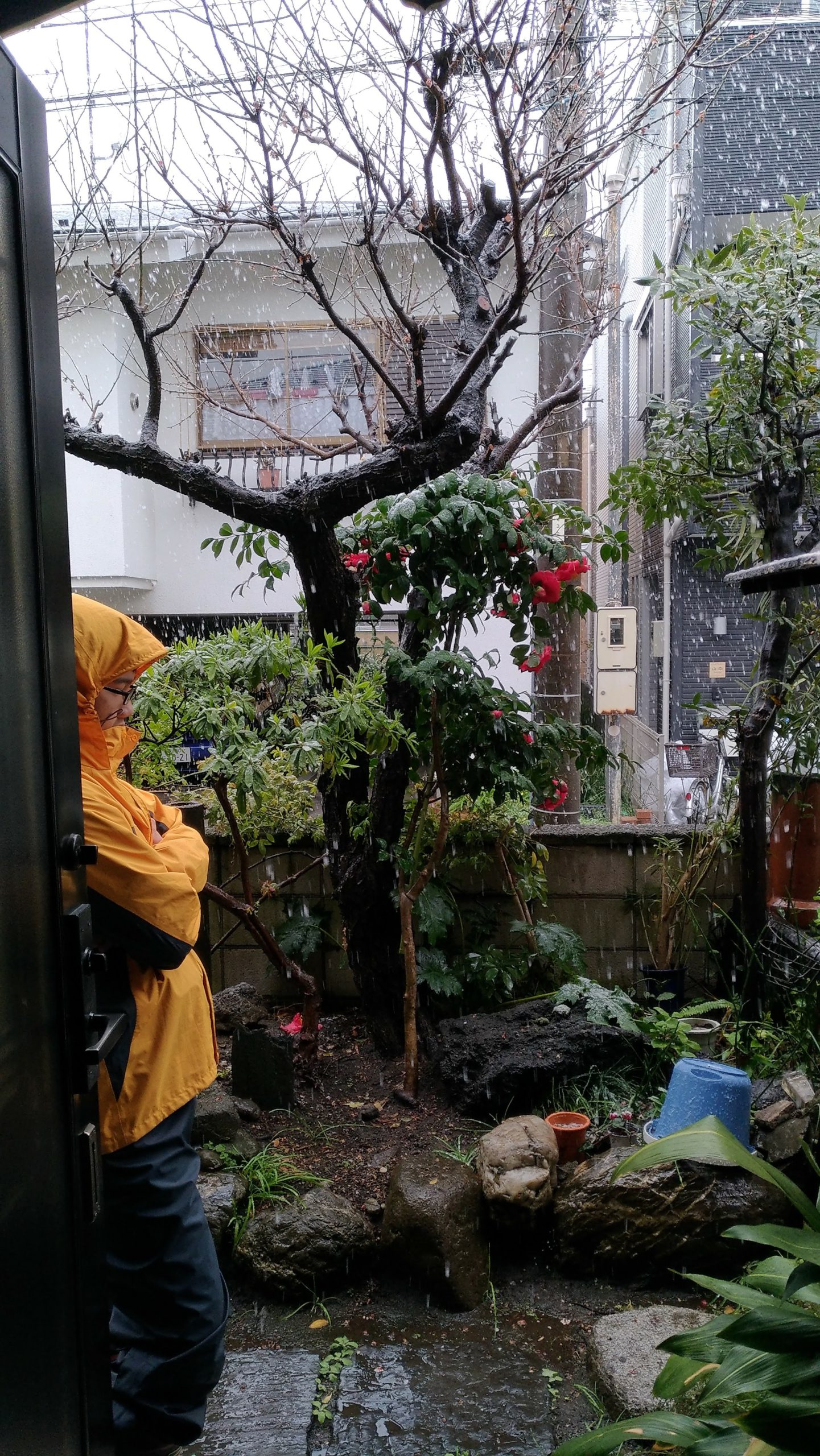 P_20180321_113449_vHDR_On – 5丁目通信（仮称）